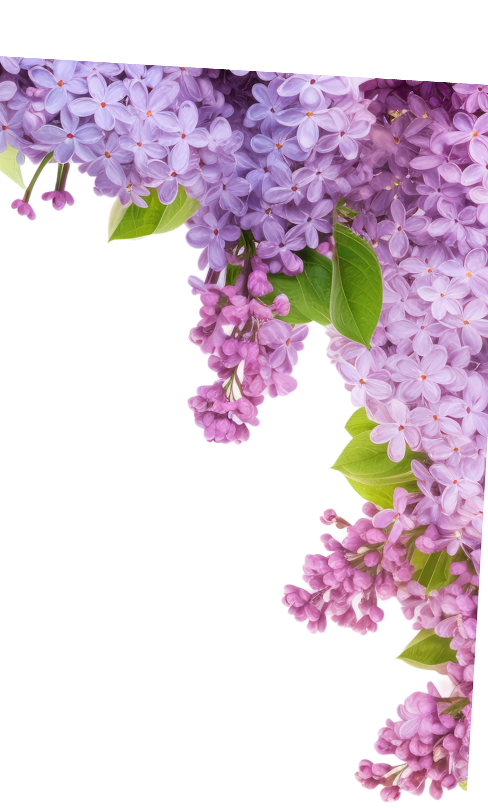 Discover Staples Business Advantage’s Newest Arrivals | Staples